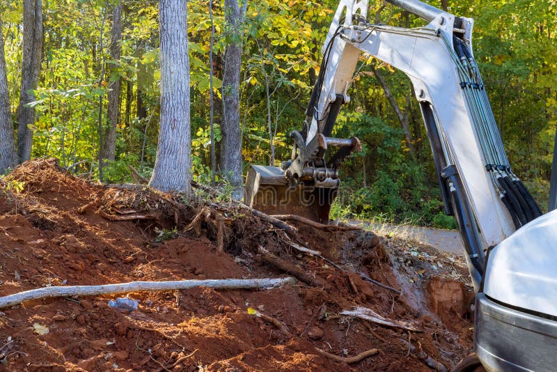 Uprooting Trees and Preparing the Land for Construction Requires the ...