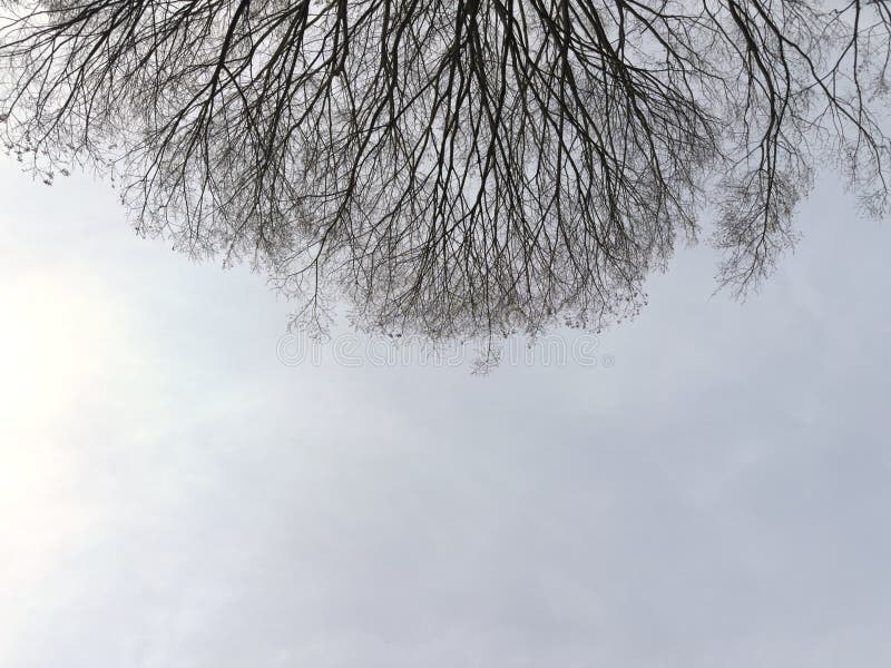 Upside Down Perspective stock image. Image of view, bare - 327221041