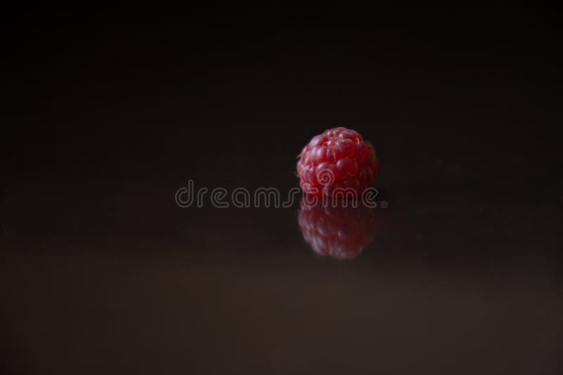 Upside Down Raspberry stock photo. Image of raspberry - 101736246