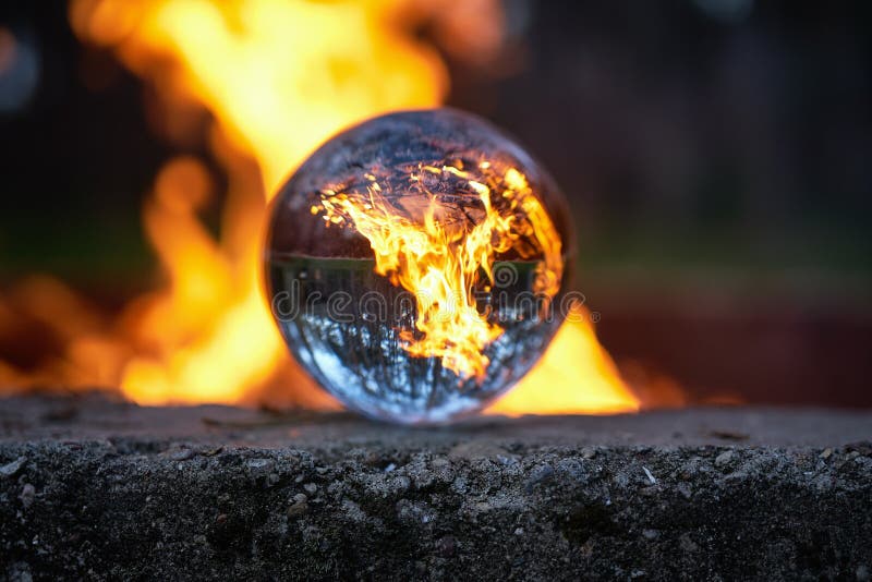 Upside Down Landscape of Beautiful Sunny Forest Stock Photo - Image of ...