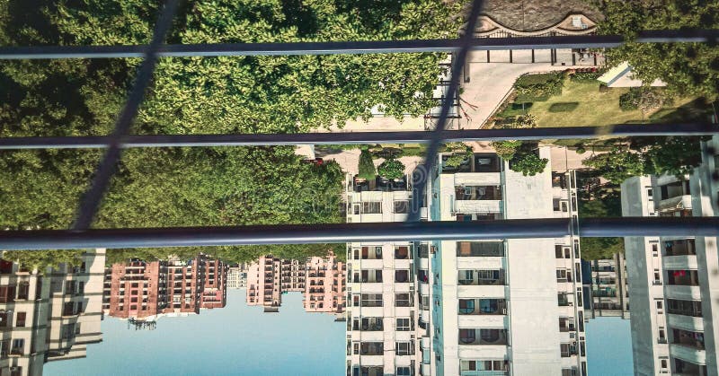 Upside down view stock photo. Image of city, tree, facade - 219360682