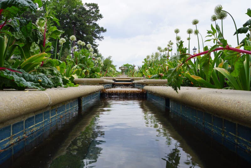 Upstream stock image. Image of garden, water, upstream - 48795625