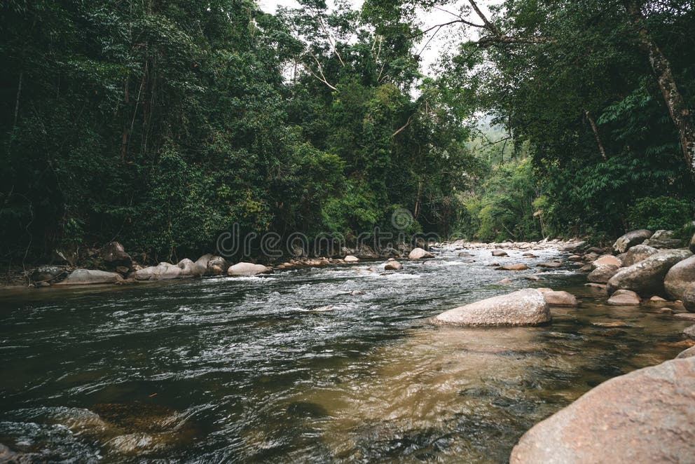 Upstream River at Sungai Kampar, Gopeng, Perak Stock Photo - Image of ...
