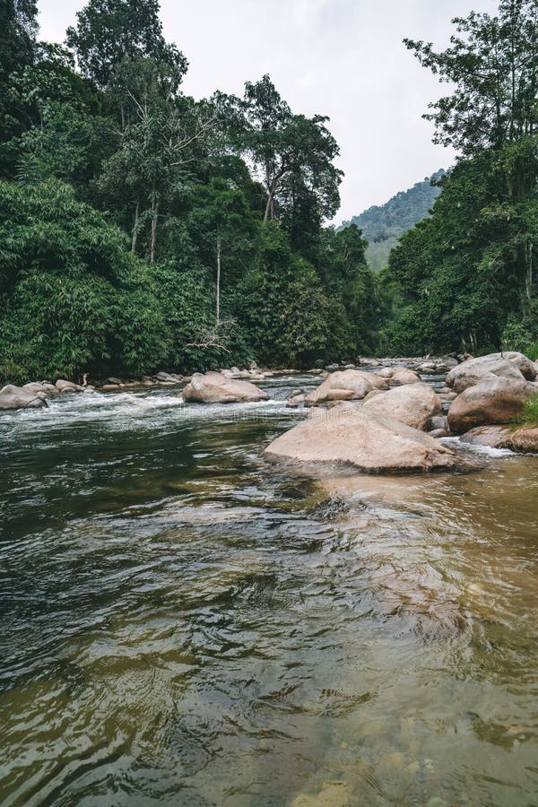 Upstream River at Sungai Kampar, Gopeng, Perak Stock Photo - Image of ...