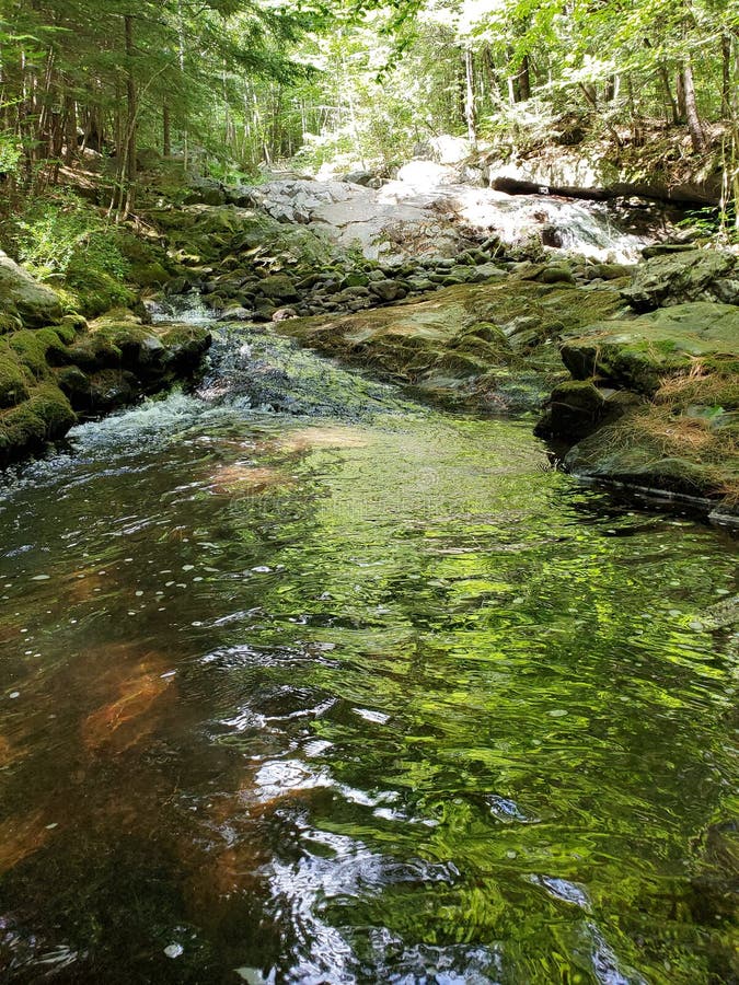 An upstream view stock image. Image of water, upstream - 155680033