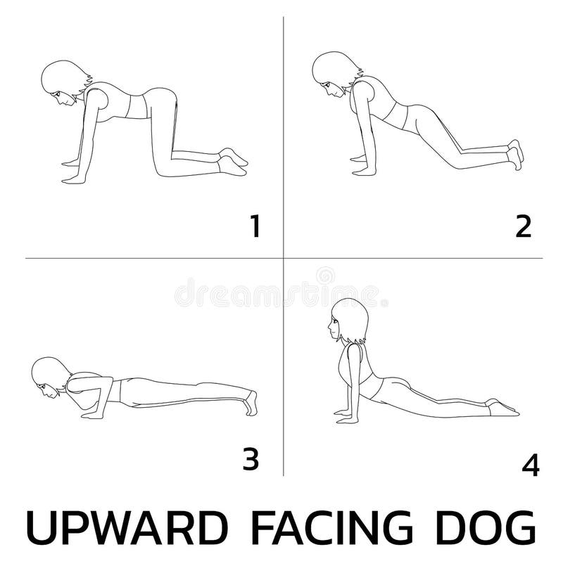 Upward Facing Dog Pose Yoga Manga Tutorial How Cartoon Vector ...