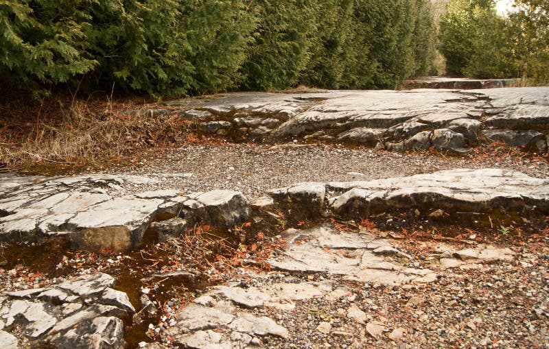 Tree Lined Ascending Limestone Quarry Path Stock Image - Image of ...