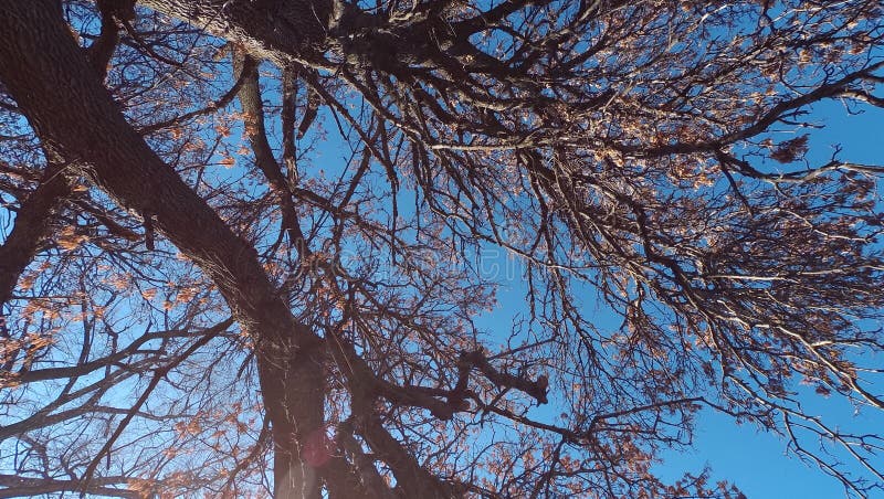 Upward Veiw Stock Photos - Free & Royalty-Free Stock Photos from Dreamstime