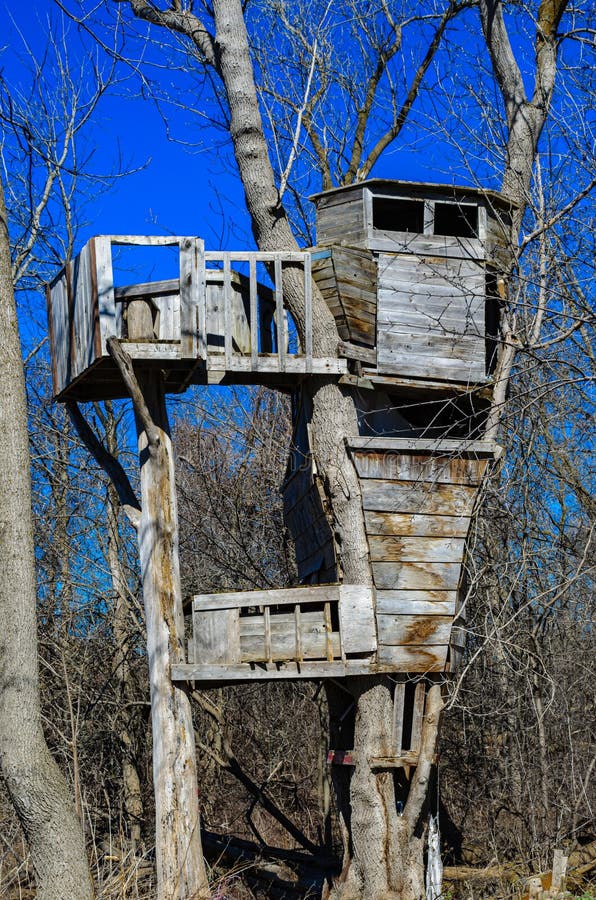 Upward View of an Old, Empty Treehouse in the Springtime Morning Sun ...
