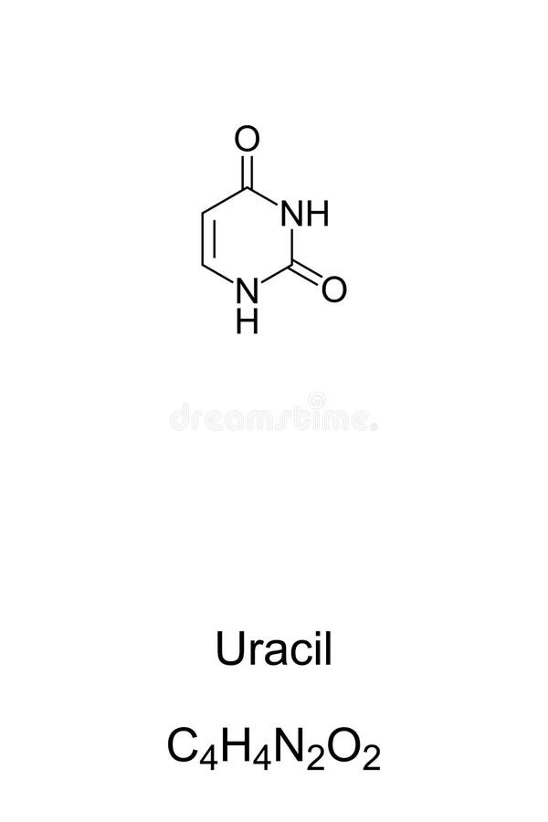 Uracil chemical formula stock vector. Illustration of structure - 150837318