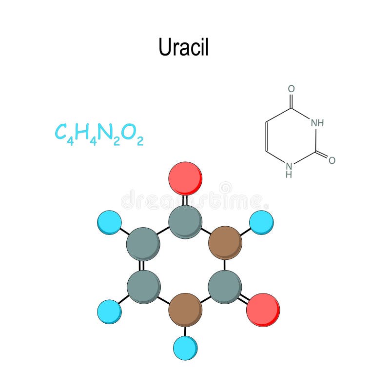 Uracil molecule stock illustration. Illustration of guanine - 96098782