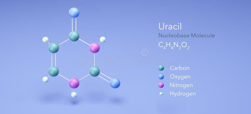 Uracil chemical formula stock vector. Illustration of structure - 150837318