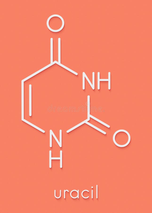 Uracil Nucleobase Molecule. Present in Ribonucleic Acid. Skeletal ...