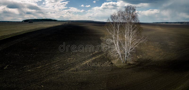 Ural Nature in Spring in May, Russia Stock Photo - Image of ural, birch ...