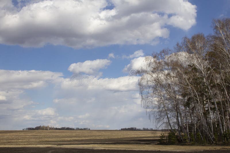 Ural spring landscape stock image. Image of groves, landscape - 218588691