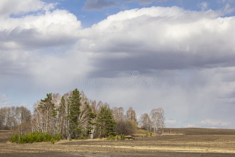 Ural spring landscape stock photo. Image of road, pine - 218491714