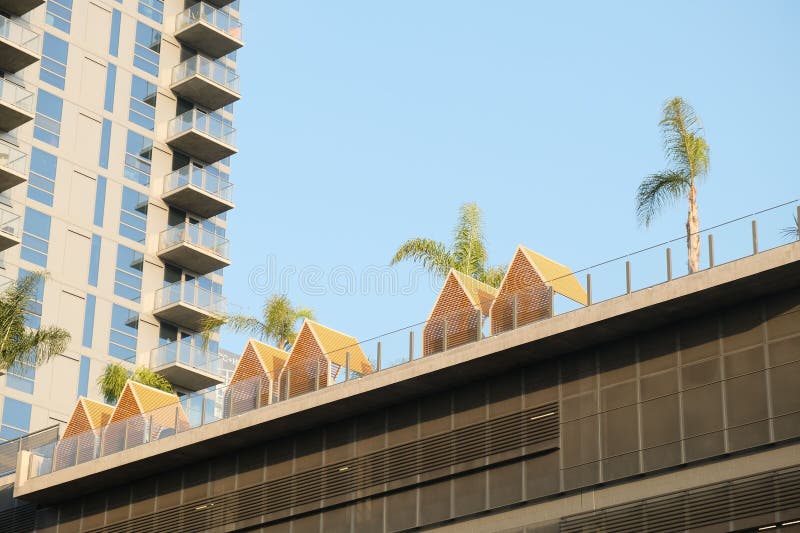 Urban Architecture with Palm Trees and Rooftop Structures. Stock Photo ...