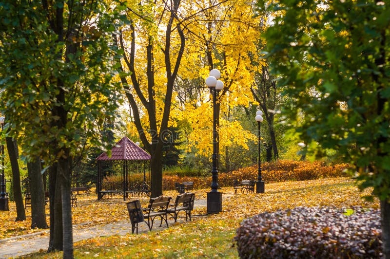 Urban Autumn Landscape with Trees in Sunlight Stock Image - Image of ...
