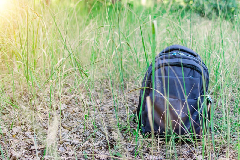 Urban Backpack on the Grass in Summer. Hiking, Outdoor Activities ...