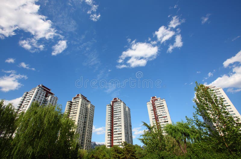 Urban building stock image. Image of outdoor, willow - 10776629