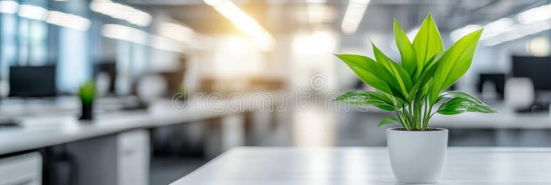 Urban Chic Office Interior Blurred Workspace with White Light ...