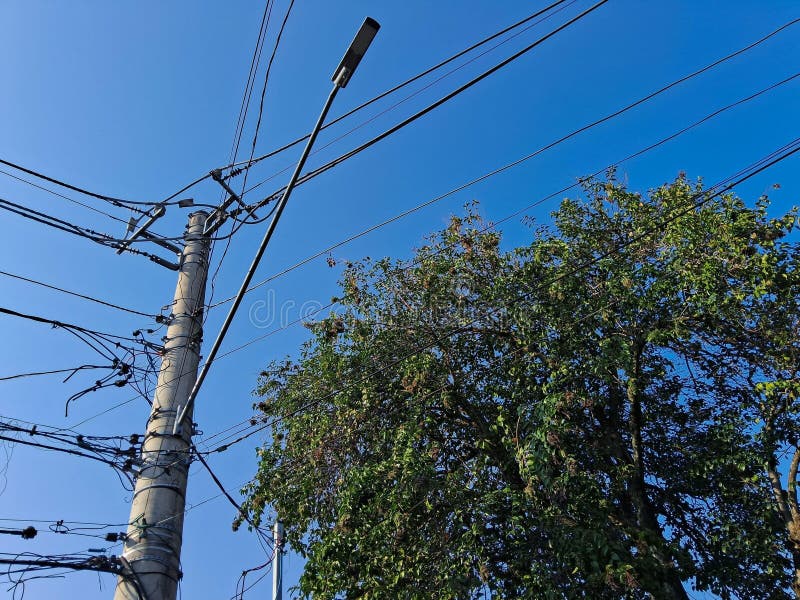 Urban Contrast between Electrical Wiring and a Tree Stock Photo - Image ...