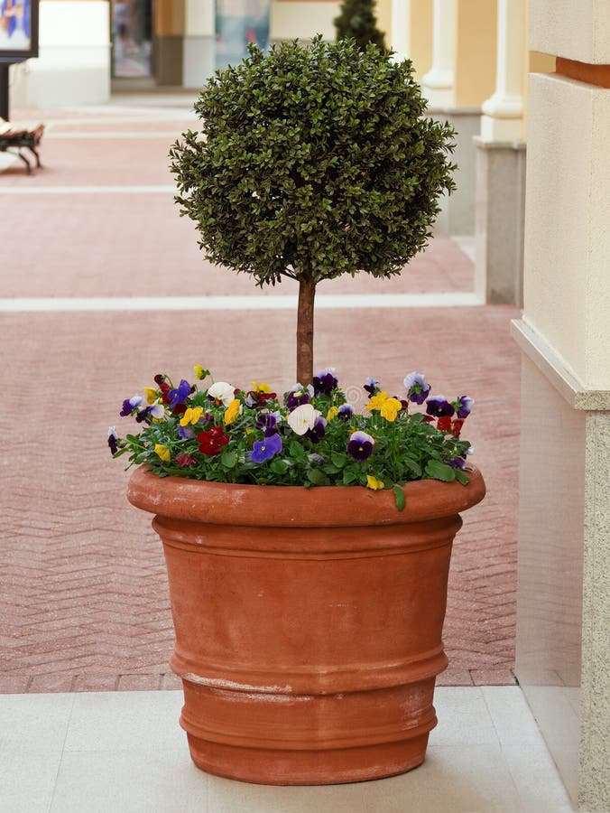 Urban decoration stock photo. Image of flowerpot, flowers - 89018726