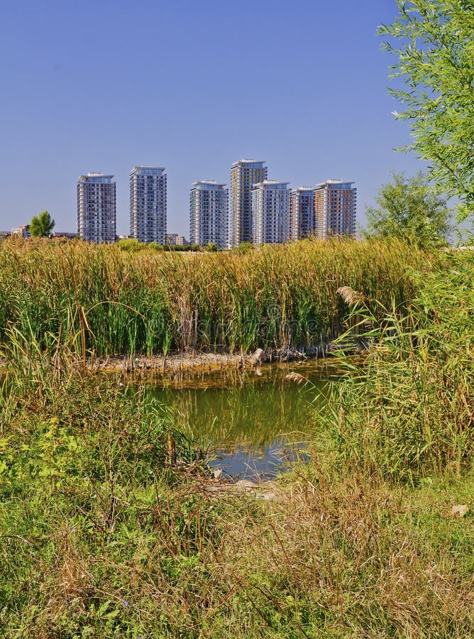 Urban delta stock image. Image of lush, blocks, rush - 26981553