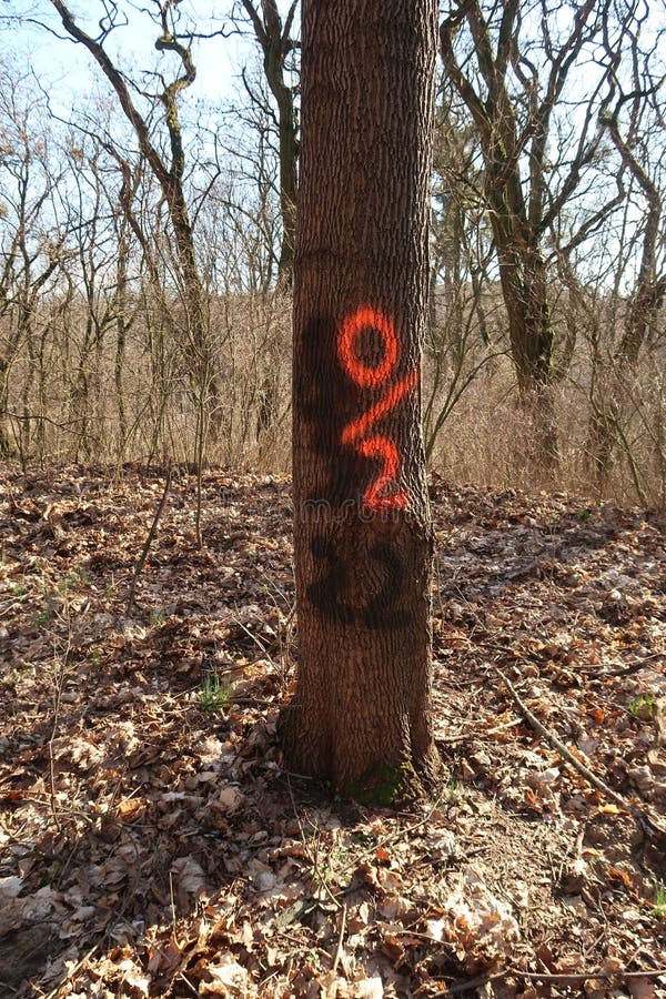 Urban Environment with the Stairs in Gray Color Stock Image - Image of ...