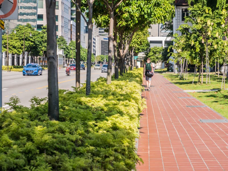 Urban Foot Path with Green Trees Editorial Image - Image of garden ...