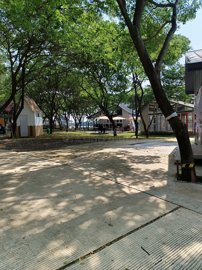 Urban Forest within Residential Areas Stock Image - Image of forest ...