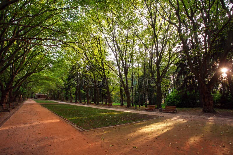 Urban Green Park with Walking Paths at Sunset Stock Photo - Image of ...