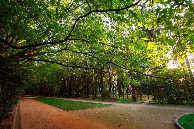 Urban Green Park with Walking Paths at Sunset Stock Image - Image of ...