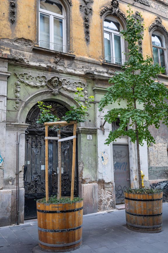 Urban Greenery: Trees in Barrels in CitySetting Stock Image - Image of ...