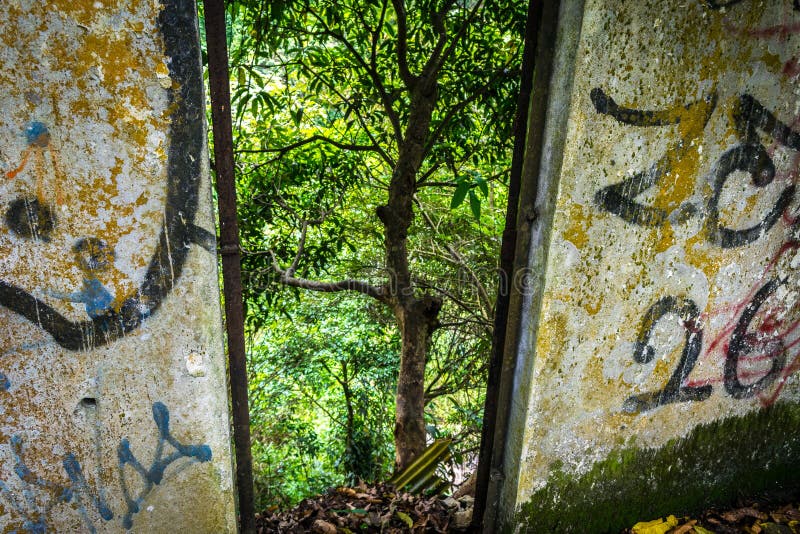 Urban-ism and Nature stock image. Image of live, nature - 42238155