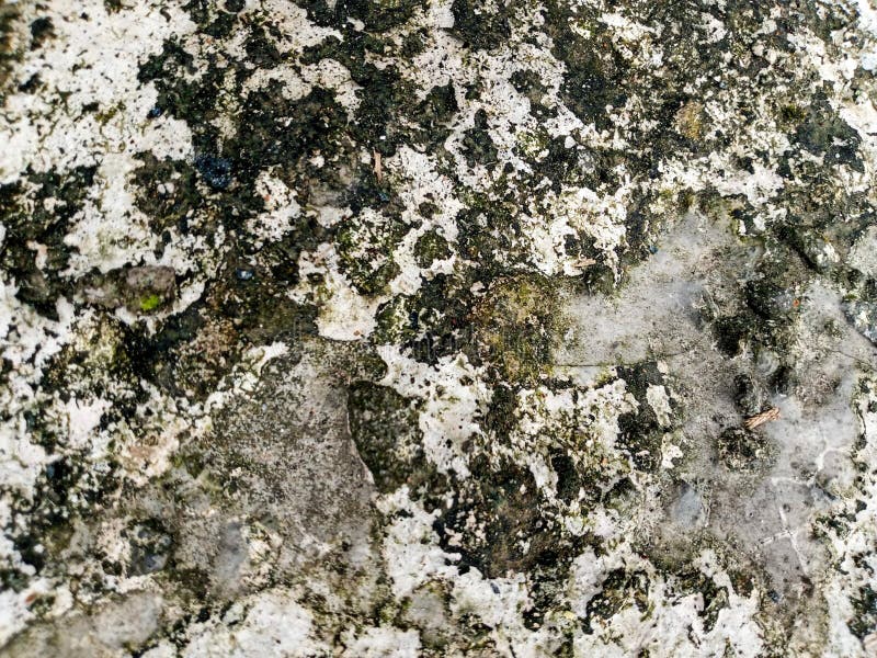 Urban Keyboard Typing Abstract Stock Image - Image of shrub, urban ...