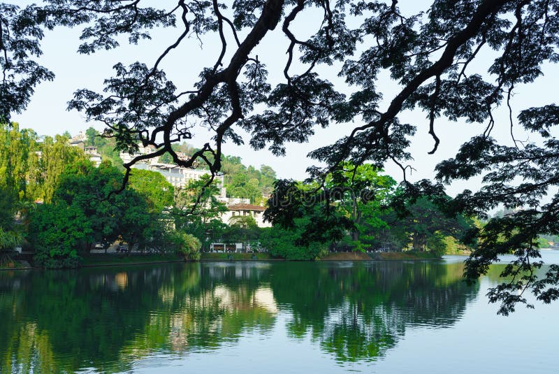 Urban Landscape Trees Reflected in the Lake Stock Photo - Image of ...