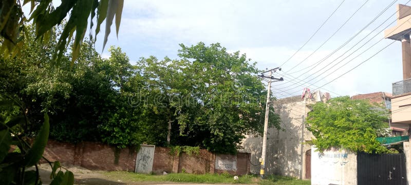 Urban living in Pakistan stock photo. Image of tree - 392760724