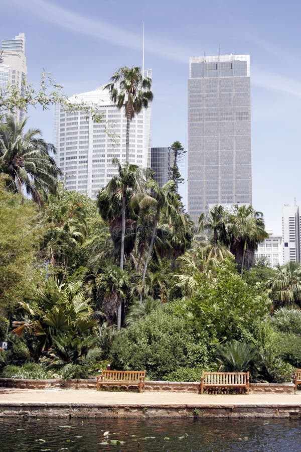Urban Oasis Picture. Image: 1694835