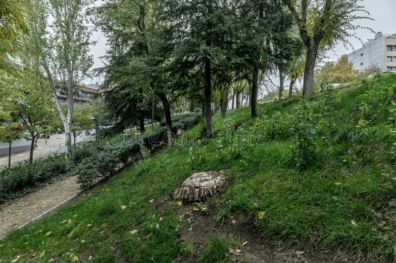 An Urban Park Located on a Hillside with Plenty of Trees and Some Paths ...