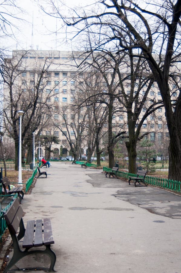 Urban park path editorial photo. Image of landscape, green - 50699306