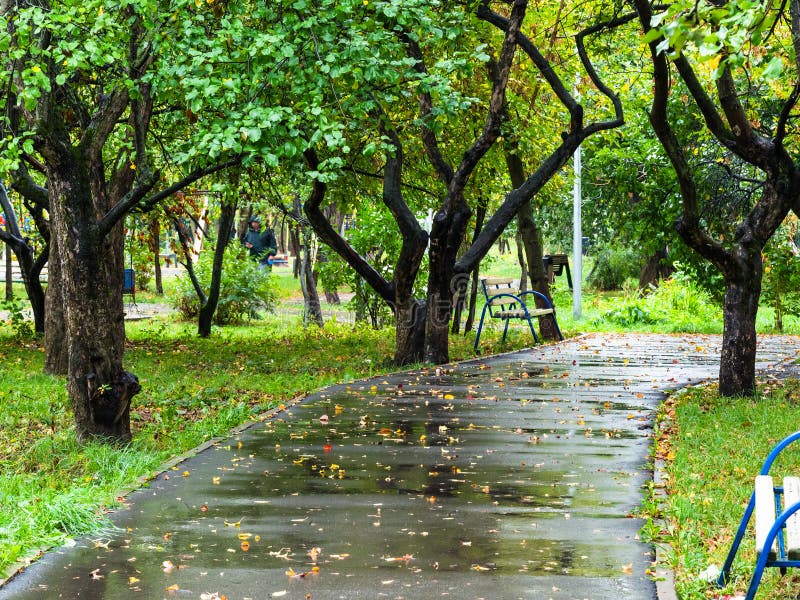 725 Rainy Day Park Pathway Stock Photos - Free & Royalty-Free Stock ...