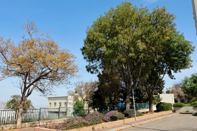 Walking Around the Spring City of Haifa, Israel in Spring. Stock Photo ...