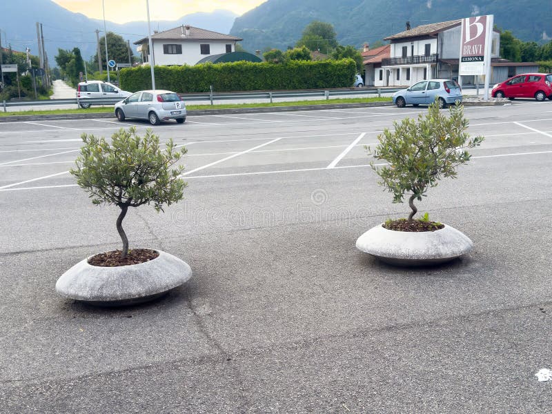 Urban Parking Lot with Decorative Trees in Concrete Planters Editorial ...