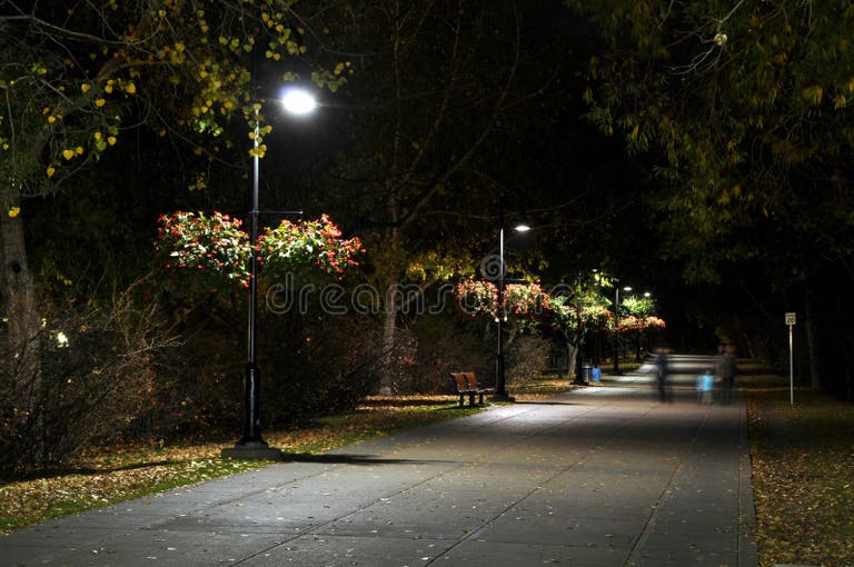 752 Pathway Corporate Stock Photos - Free & Royalty-Free Stock Photos ...