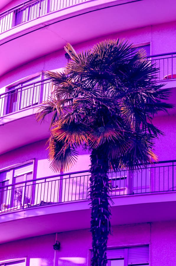 Urban Scene with Palace and Palm Tree in Pink Stock Image - Image of ...