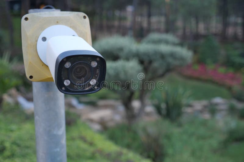 Urban Security Camera Placements Near Vehicles Captured in Video ...