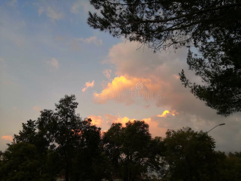 Urban Sunset through the Trees Stock Image - Image of city, greenery ...