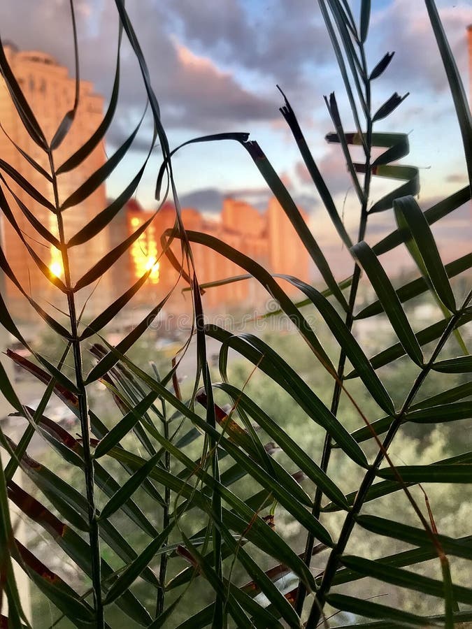 Urban Sunset View from the Window Stock Photo - Image of downtown ...