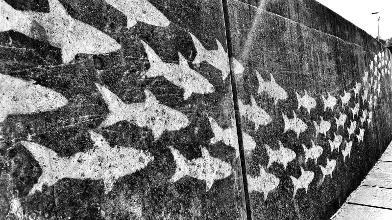 Urban Terrain editorial photo. Image of graffiti, urban - 45468676